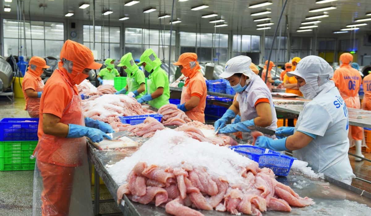 Việt Nam giữ vị trí số một thế giới về cá tra đạt chứng nhận ASC - LTC ...