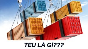 TEU là gì? Ý nghĩa & Cách quy đổi TEU trong Xuất nhập khẩu